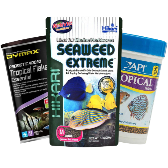 Fish Food – Marine Plus Aquariums